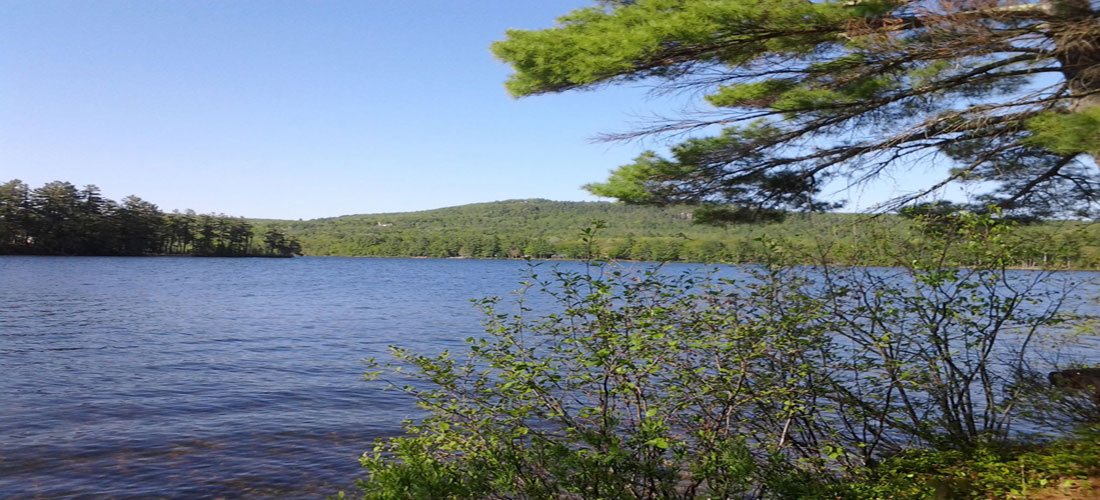 Historical Watershed Information – Crescent Lake Watershed Association